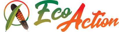 Eco Action - Eco Action